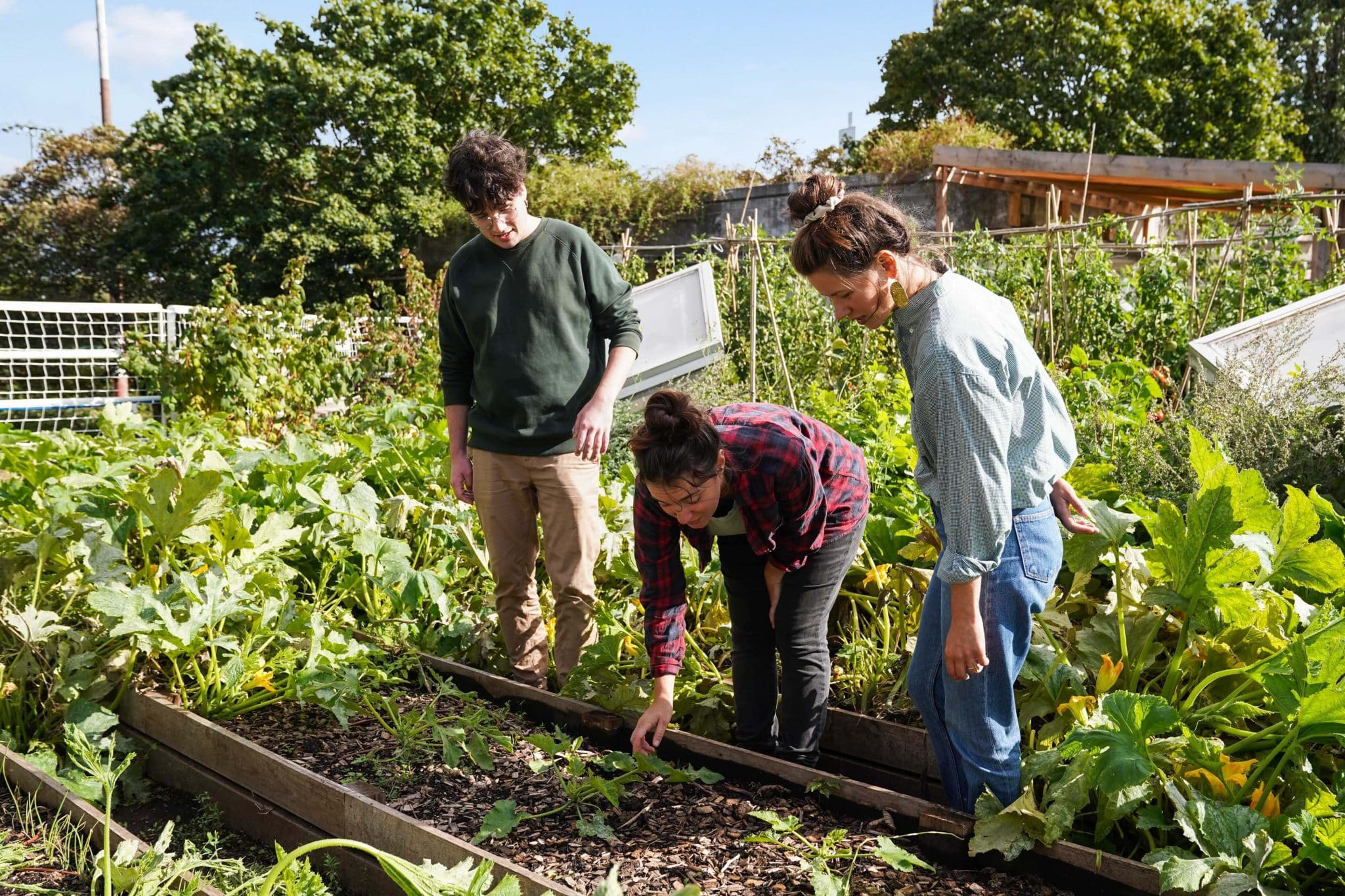 5 astuces pour créer un jardin potager dans un espace restreint – L ...